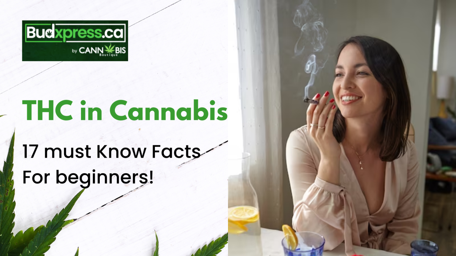 Introduction to THC Cannabinoid in cannabis - 17 Must know facts for beginners - BUDXPRESS.ca